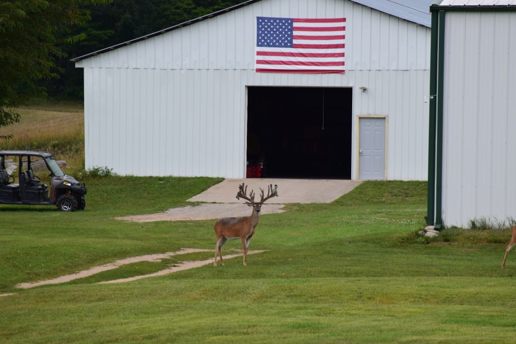 Trophy Whitetail Hunts - Rolling Ridge Ranch